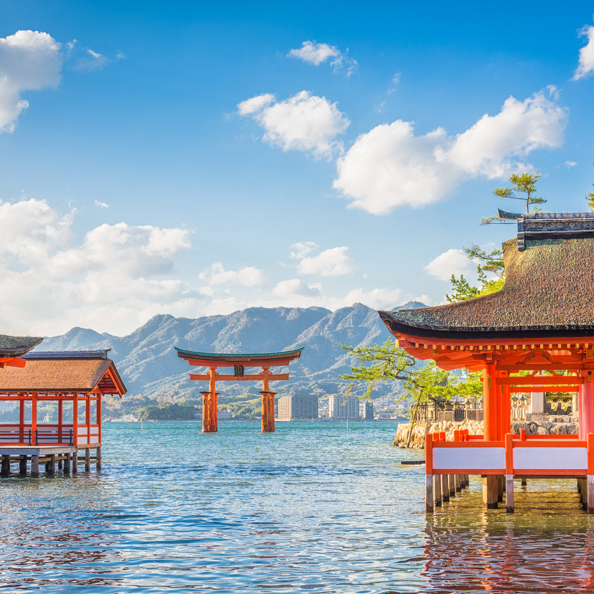 Shinto and Zen Across Japan (12 days,11 nights) – TRIP2LOCAL